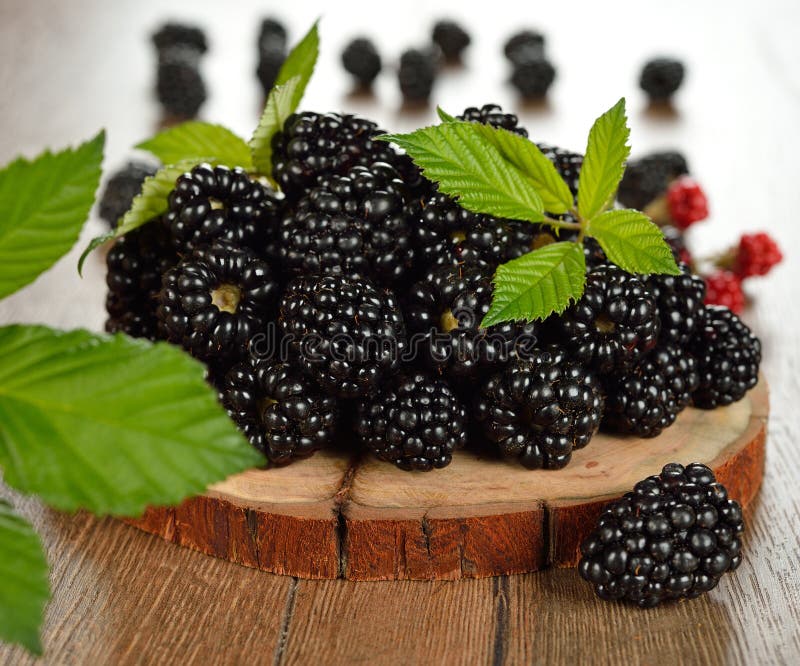 Fresh blackberries stock image. Image of healthy, edible - 32475023