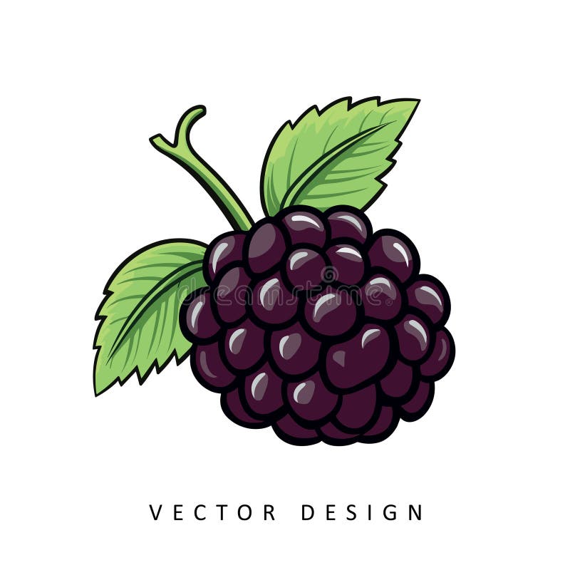 Fresh Blackberry Fruit Vector Design AI Generated Stock Vector ...