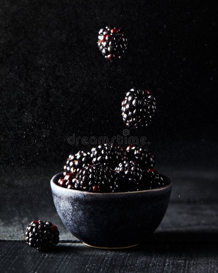 Fresh Blackberry Levitation Dark Background Stock Photos - Free ...