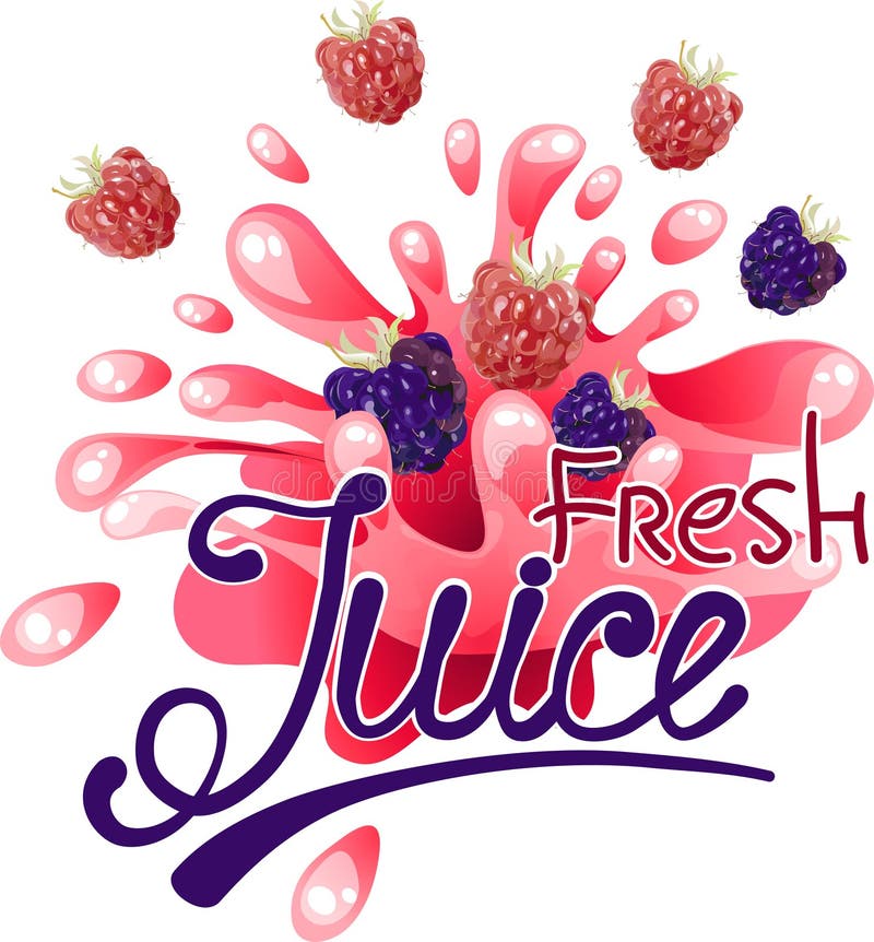 Fresh Blackberry and Raspberries Juice. Stock Vector - Illustration of ...