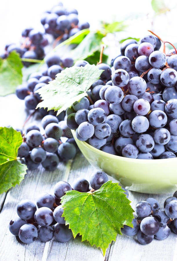 Fresh blue grape stock image. Image of bunch, grape, fresh - 26735921