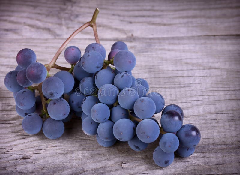 Grapes stock image. Image of blue, close, ripe, wine, fruit - 6287045