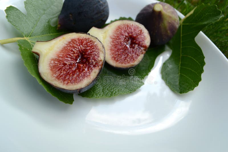 Blue figs on white plate stock photo. Image of ripe - 160583872