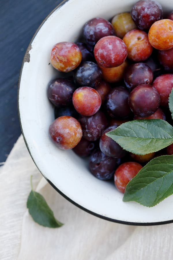Fresh blue plum stock image. Image of fruits, bowl, lifestyles - 66282931