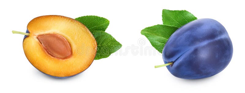 Fresh Blue Plum Half with Leaves Isolated on White Background Stock ...