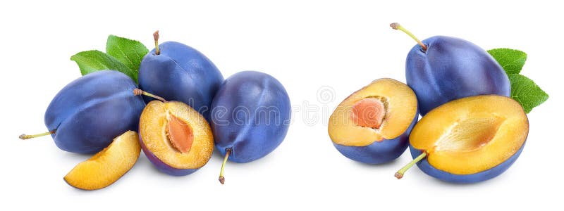 Fresh Blue Plum and Half with Leaves Isolated on White Background. Set ...