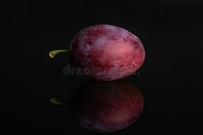 Fresh Blue Plum Isolated on Black Glass Stock Photo - Image of fruit ...