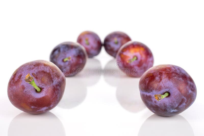 Fresh Blue Plum Isolated on White Stock Image - Image of blue, deep ...