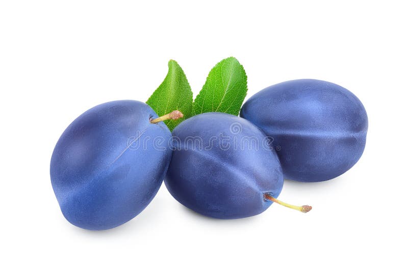 Fresh Blue Plum with Leaves Isolated on White Background Stock Image ...