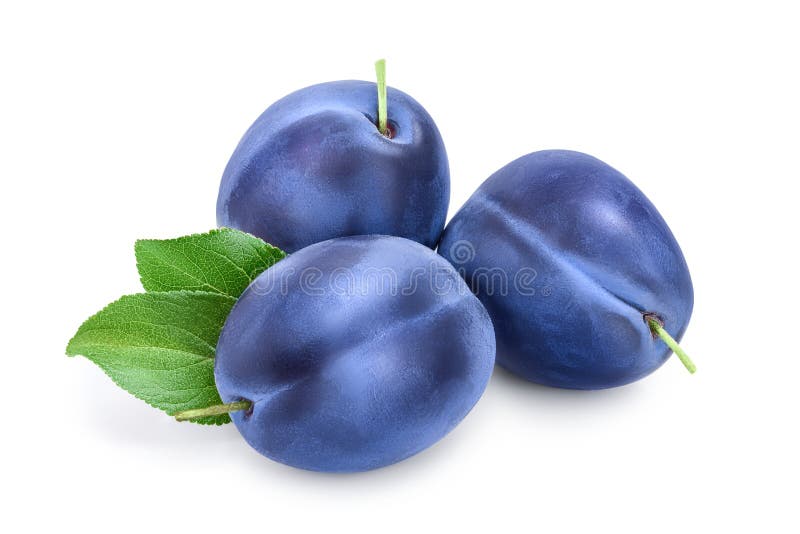 Fresh Blue Plum with Leaves Isolated on White Background Stock Photo ...