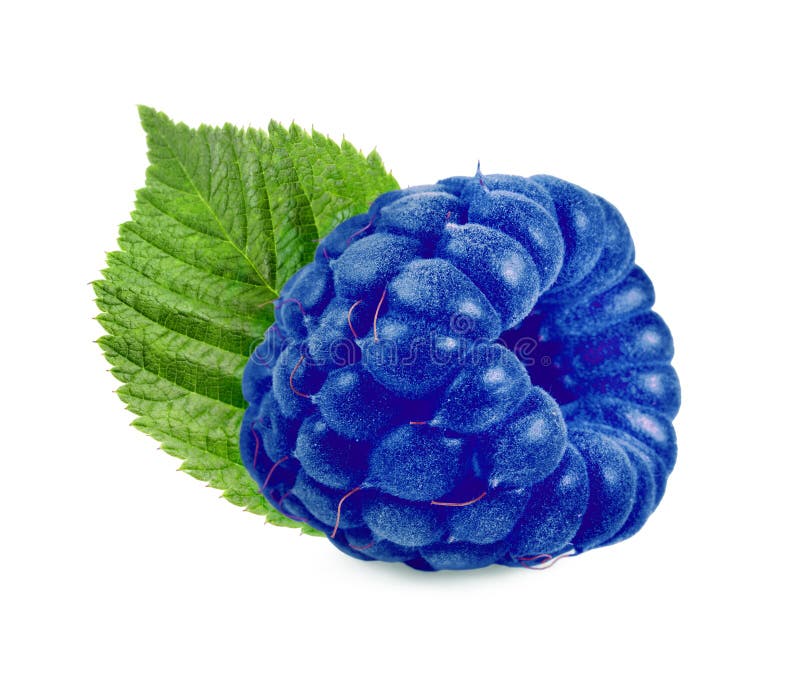 Fresh Blue Raspberry and Green Leaf Isolated on White Stock Photo ...