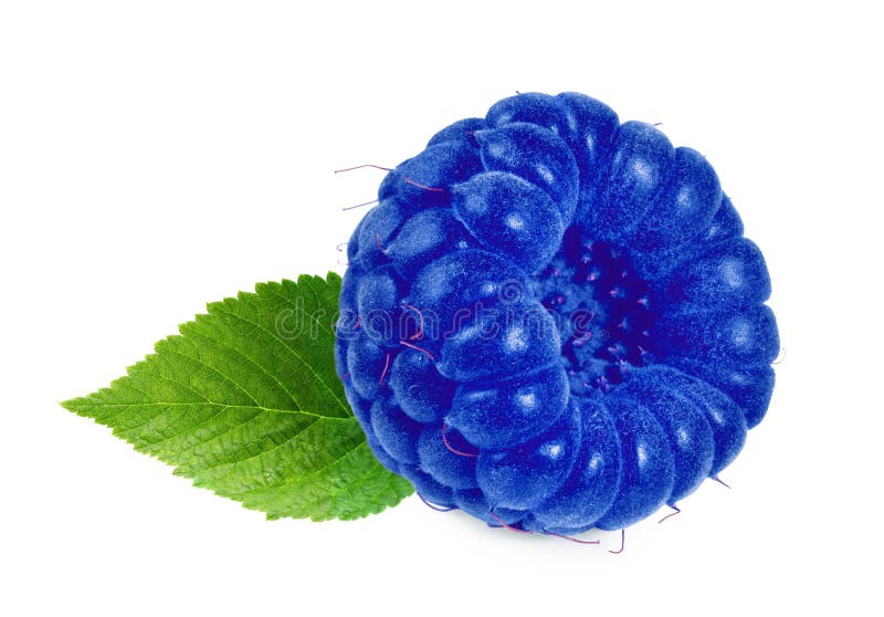 Fresh Blue Raspberry and Green Leaf Isolated on White Stock Image ...