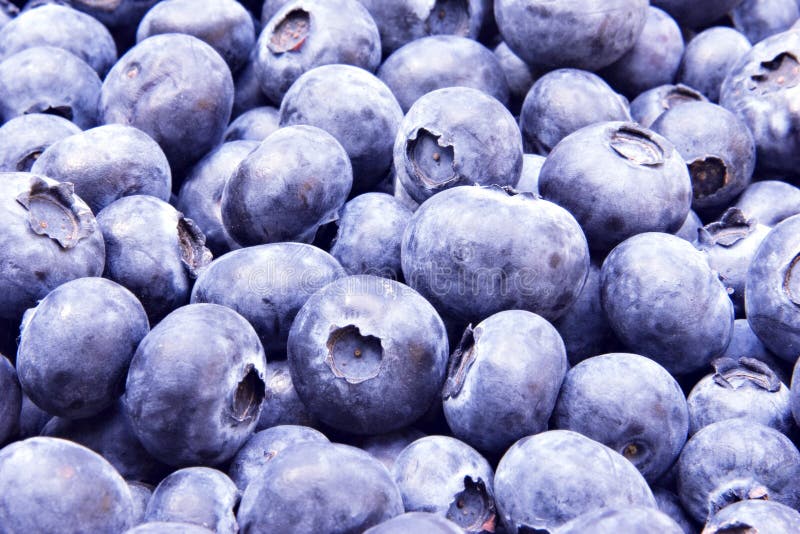Fresh Blueberries stock image. Image of details, blueberries - 1027037