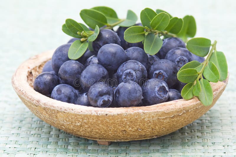 Fresh blueberries stock image. Image of plate, blueberry - 19769623