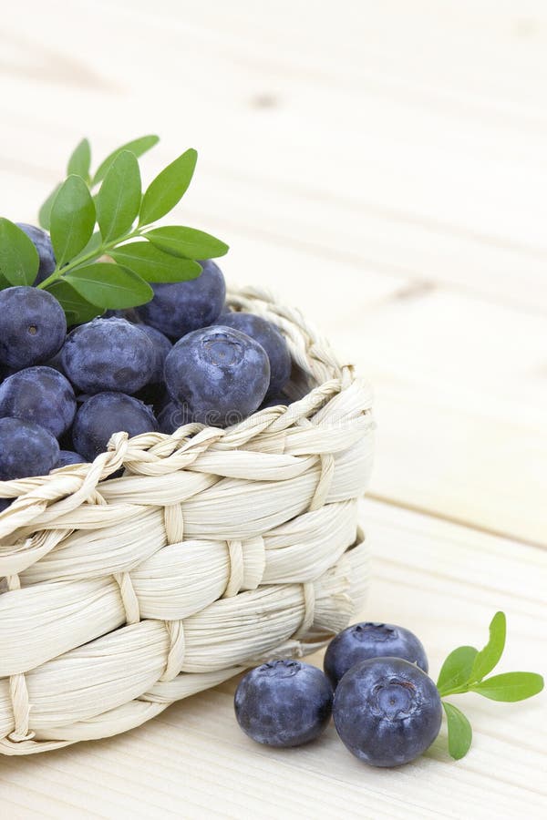 Fresh blueberries stock image. Image of blue, fresh, isolated - 19769749