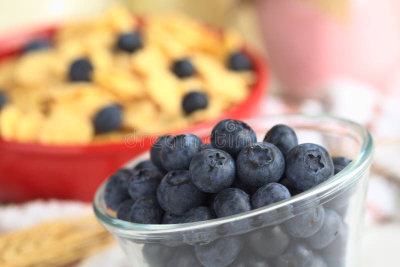 Fresh Blueberries stock image. Image of selective, color - 20358551