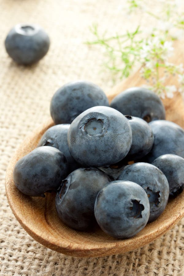 Fresh blueberries stock photo. Image of close, juicy - 20475326