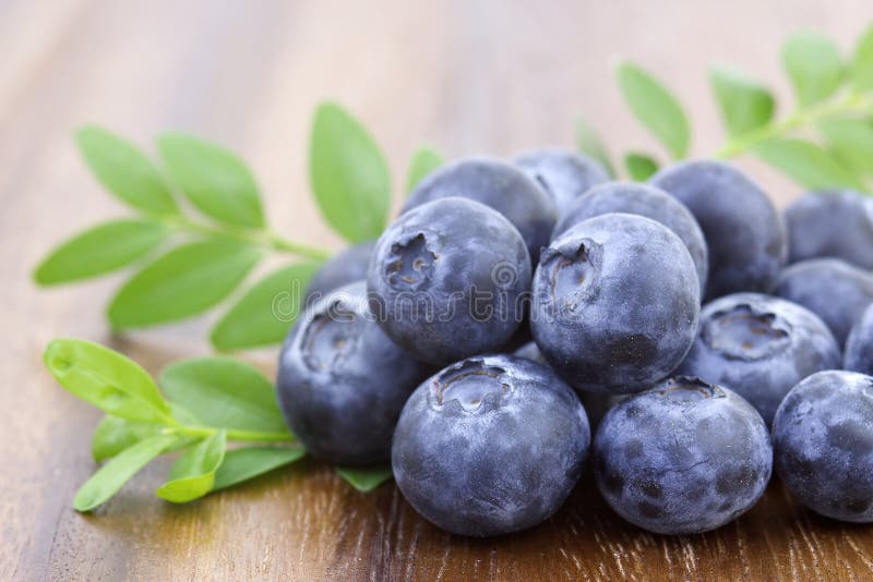 Fresh blueberries stock photo. Image of diet, fresh, blueberry - 20817008