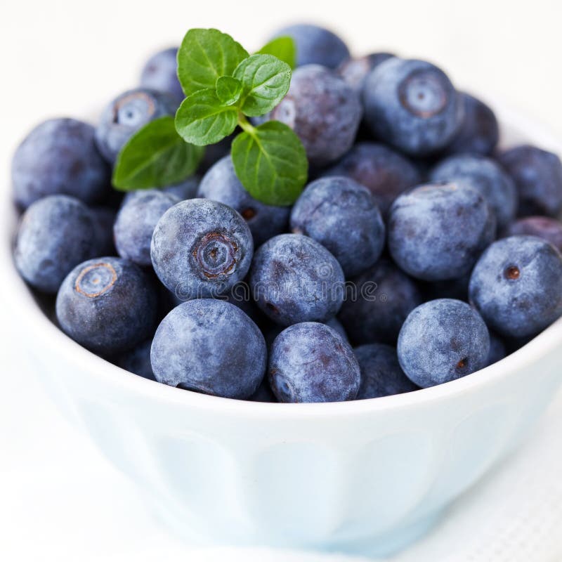 Fresh blueberries stock photo. Image of bilberries, ripe - 23742814