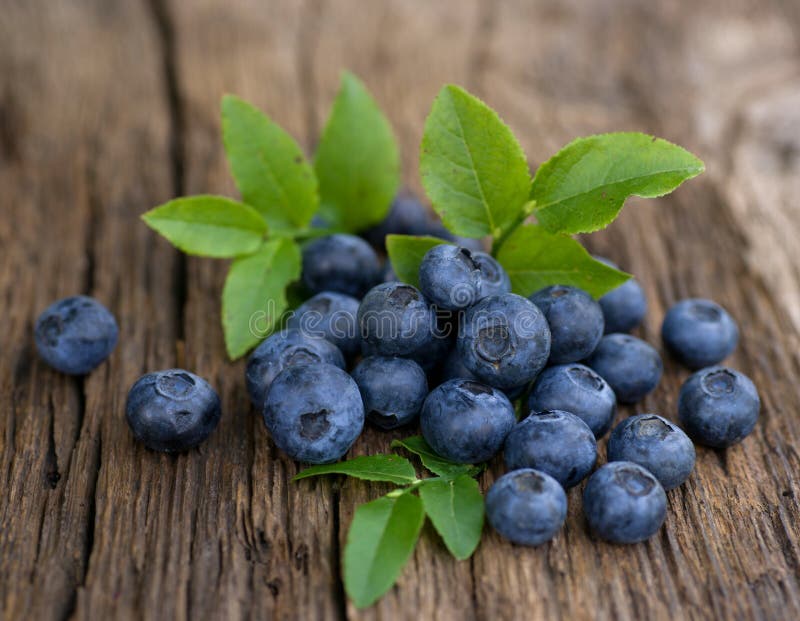 Fresh blueberries stock photo. Image of berries, organic - 24090890