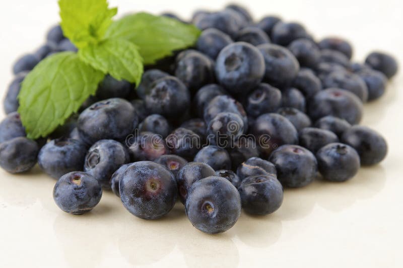 Fresh blueberries stock photo. Image of food, produce - 6540142