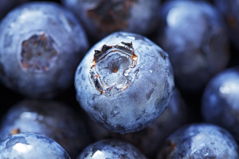 Fresh Blueberries close-up stock image. Image of dessert - 53169737
