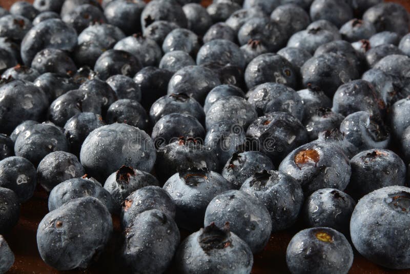 Fresh blueberries stock photo. Image of bilberry, superfood - 53498022