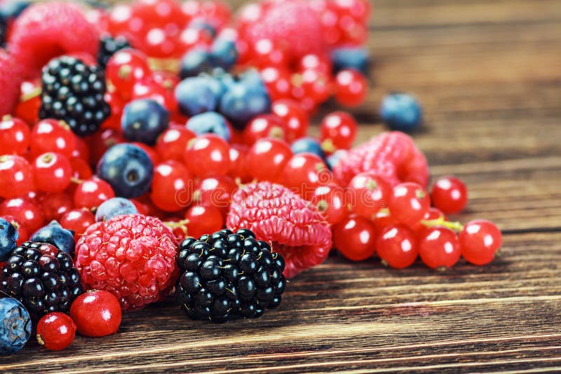 Fresh Blueberries, Currants, Blackberries, Cranberries and Raspberries ...