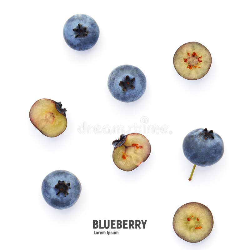 Whole Blueberry Muffins One on Top Stock Image - Image of imitation ...