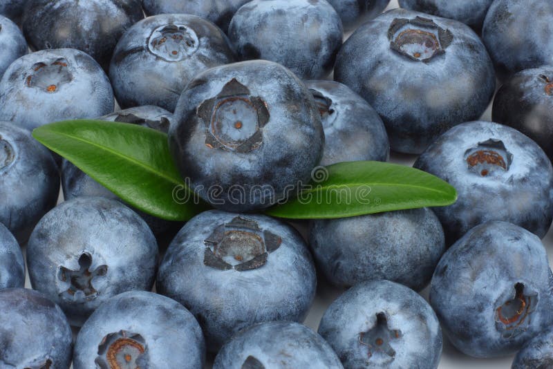 Fresh Blueberries Texture or Background. Top View Stock Photo - Image ...