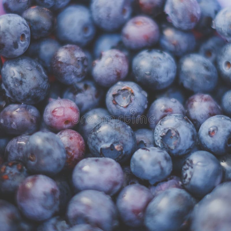 Fresh Blueberry Background , Blueberries Closeup Stock Photo - Image of ...