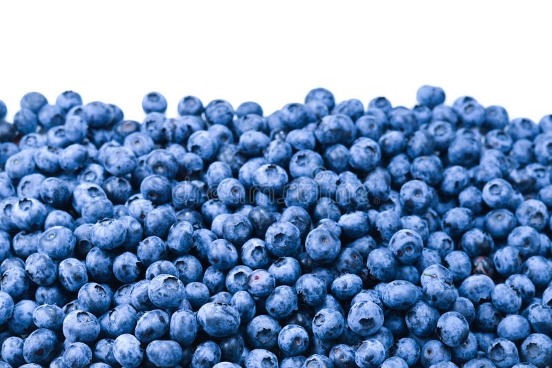 Blueberry Texture Stock Photos - Download 9,683 Royalty Free Photos