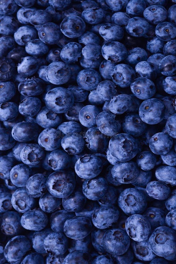 Fresh Blueberry Background. Texture Blueberry Berries Close Up Stock ...