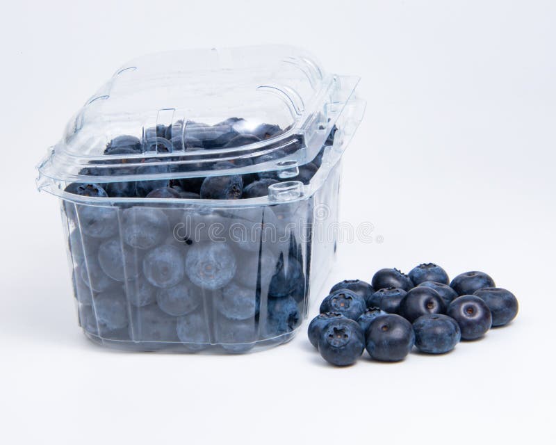 Fresh Blueberry in Box on the White Background Stock Photo - Image of ...