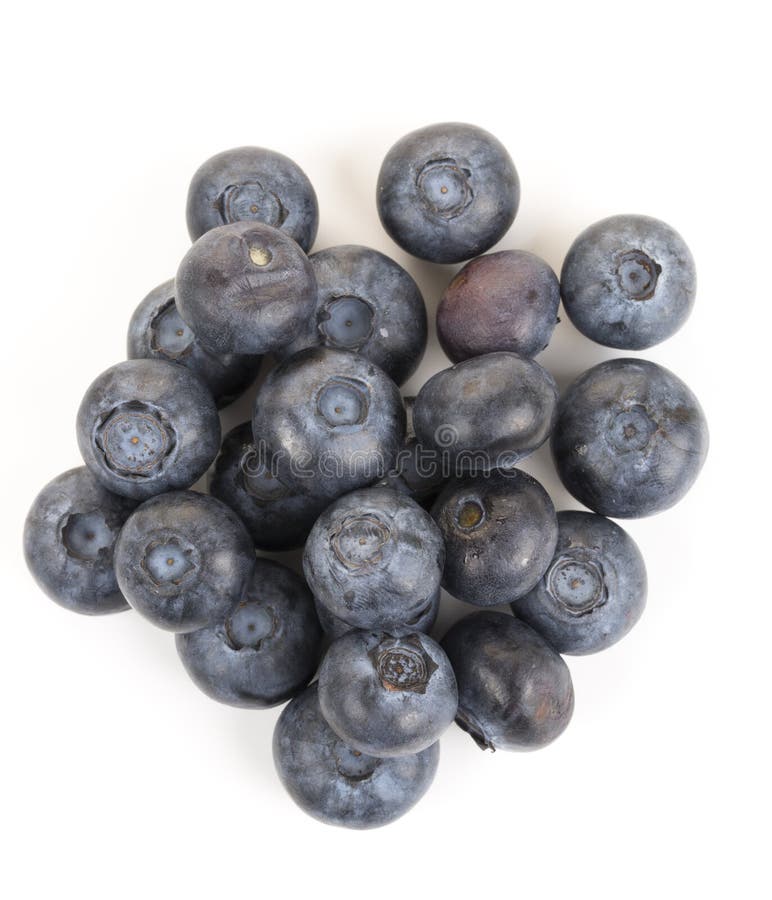 Fresh blueberry stock image. Image of food, natural, fresh - 87049659