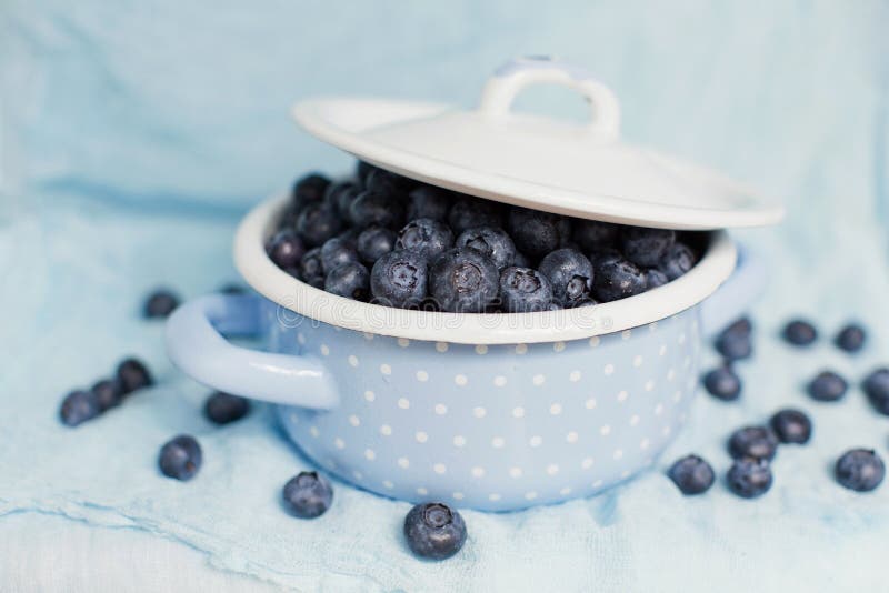 Fresh Blueberry in Cooking Pot Bowl Stock Image - Image of organic ...