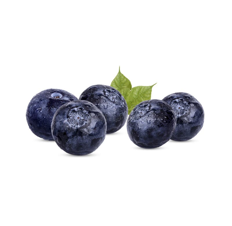 Fresh Blueberry with Drops Isolated on White Background Stock Photo ...