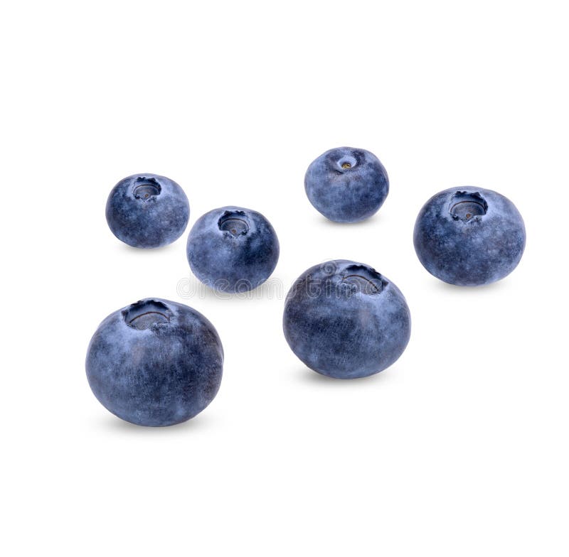 Fresh Blueberry with Drops Isolated on White Background Stock Photo ...