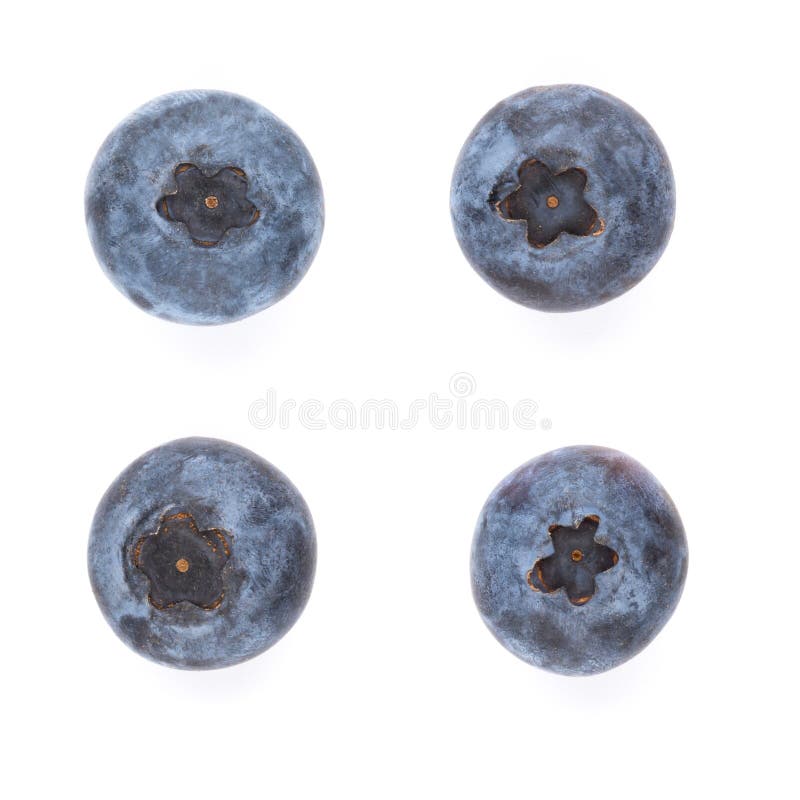 Fresh Blueberry on the White Background Stock Photo - Image of organic ...