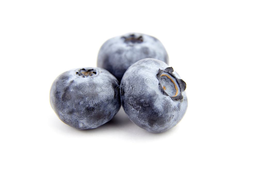 Fresh Bluebery Isolated on White Background Stock Image - Image of ...