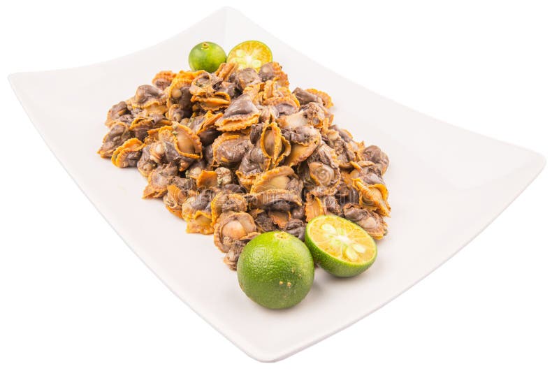 Fresh Boiled Cockle Meat V stock image. Image of clams - 39948877