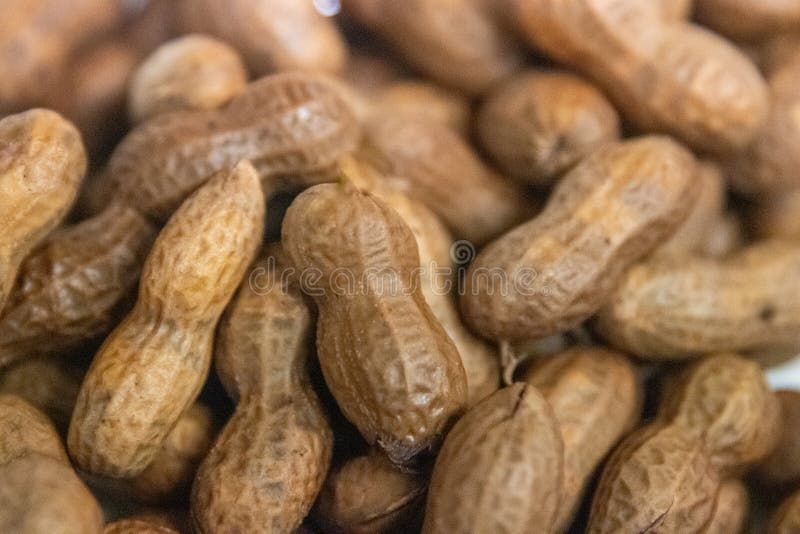 Fresh Boiled Peanuts stock image. Image of groundnut - 322331723
