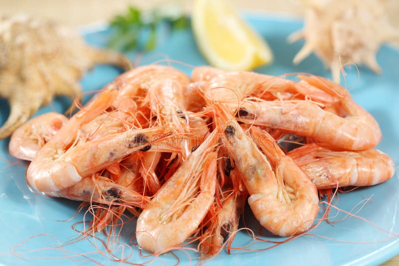 Fresh boiled prawns stock photo. Image of krill, plate - 26707098