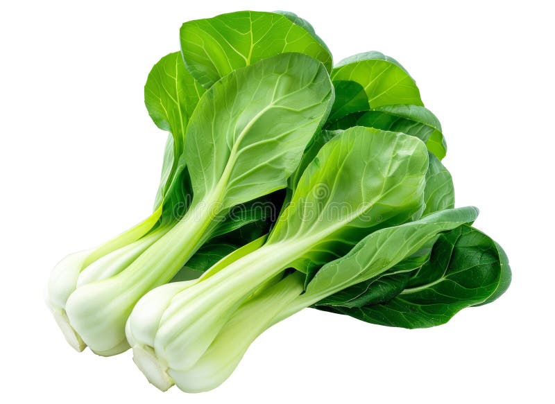 Fresh Bok Choy or Chinese Cabbage. Pak Choi Isolated on White ...