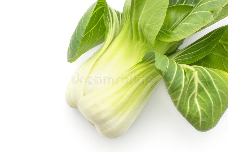 Pechay Plant Stock Photos - Free & Royalty-Free Stock Photos from ...