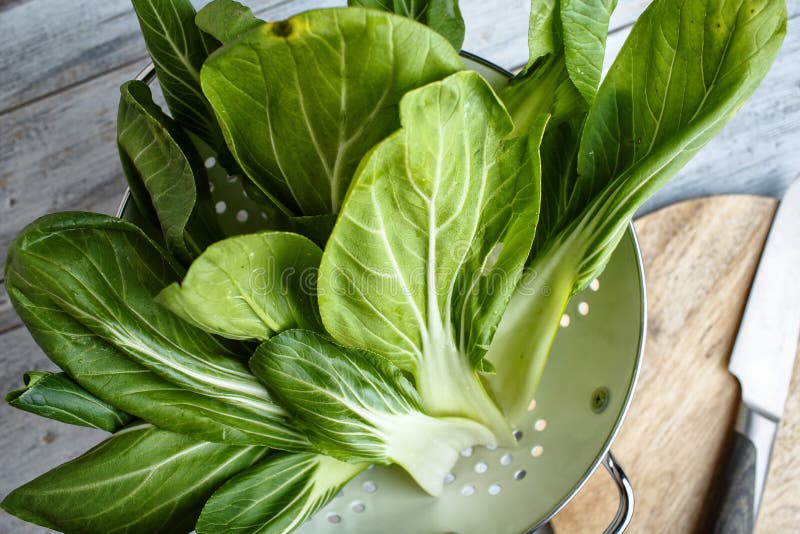 Fresh Bok Choy stock photo. Image of chinese, green, asia - 63220682