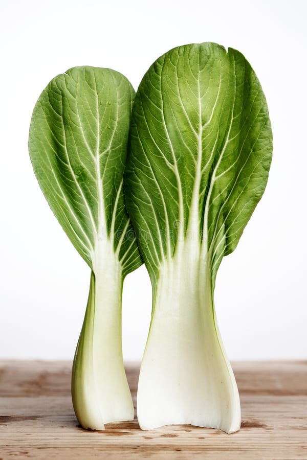 Fresh Bok Choy stock photo. Image of choy, choi, green - 63220688