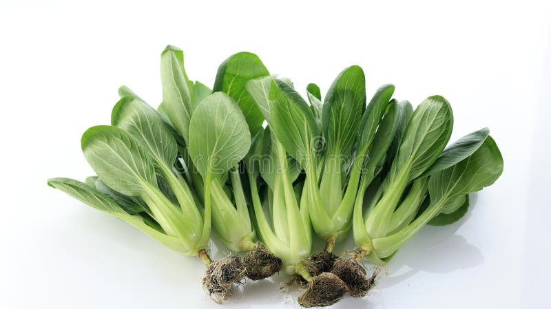 Fresh Bok Choy or Pak Choi Chinese Cabbage Stock Photo - Image of ...