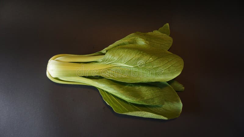 Fresh Bok Choy Vegetable on Black Background. Stock Image - Image of ...