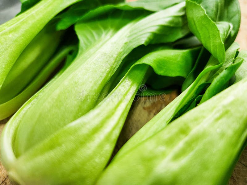 Fresh bok choy vegetables stock image. Image of food - 271158585